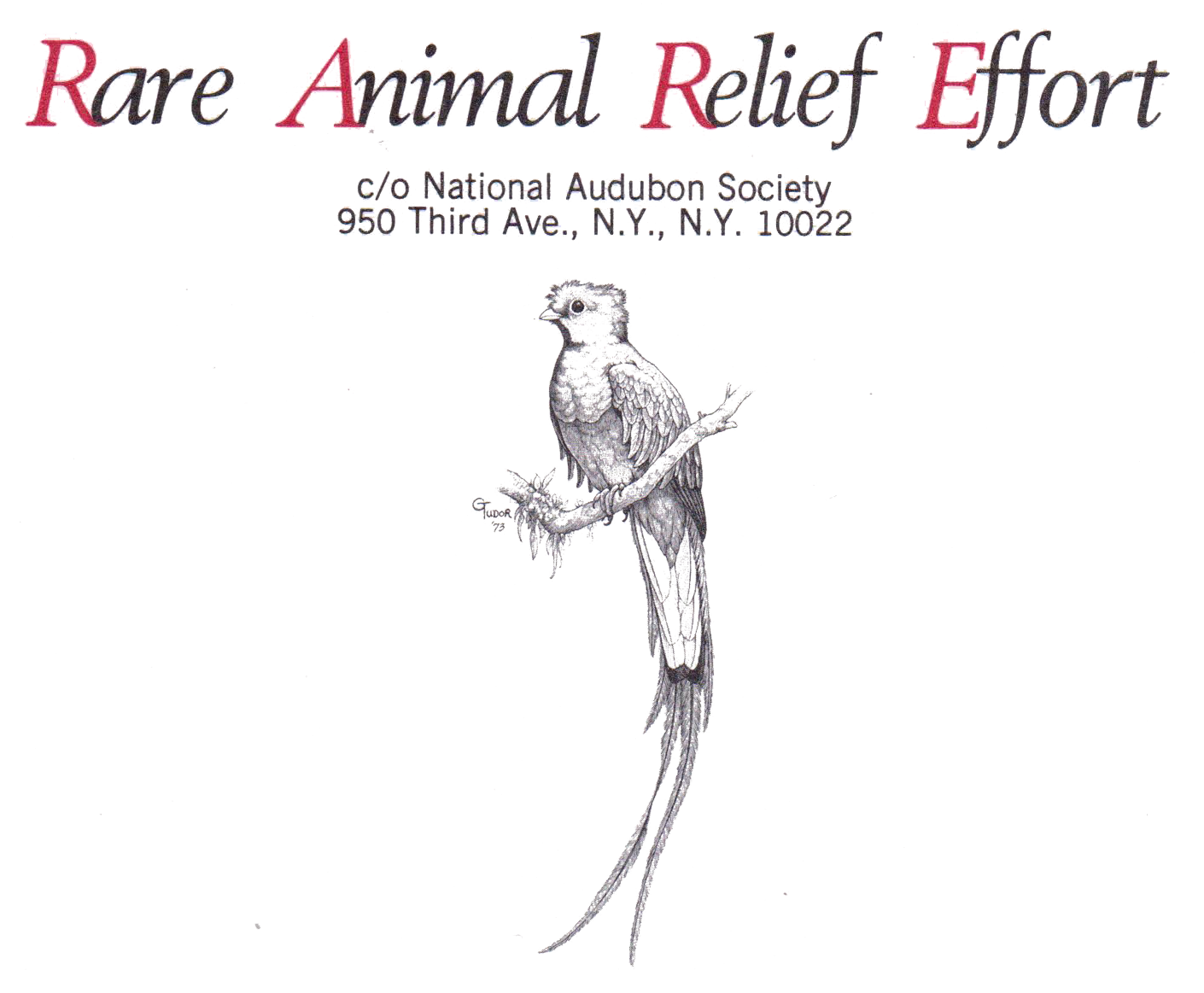 A Rare biodiversity story – Rare