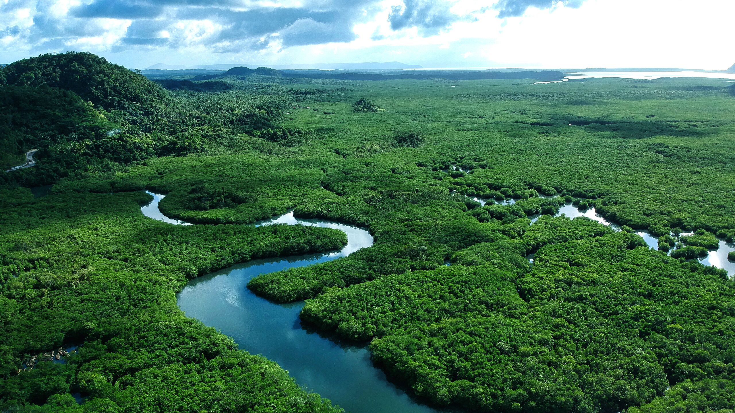 A Rare biodiversity story – Rare