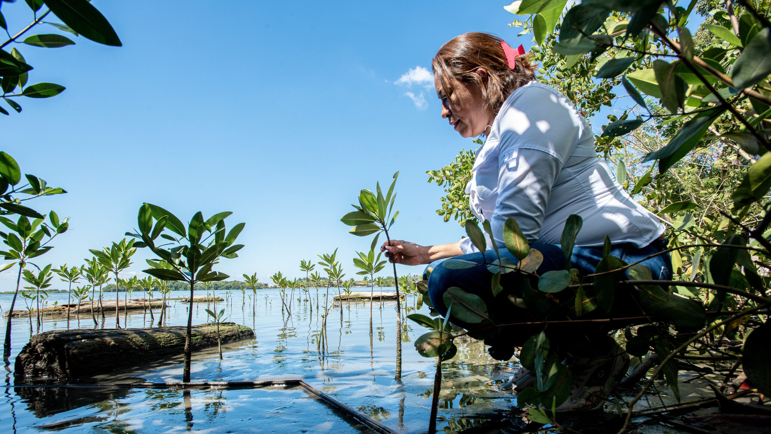 A Rare biodiversity story – Rare