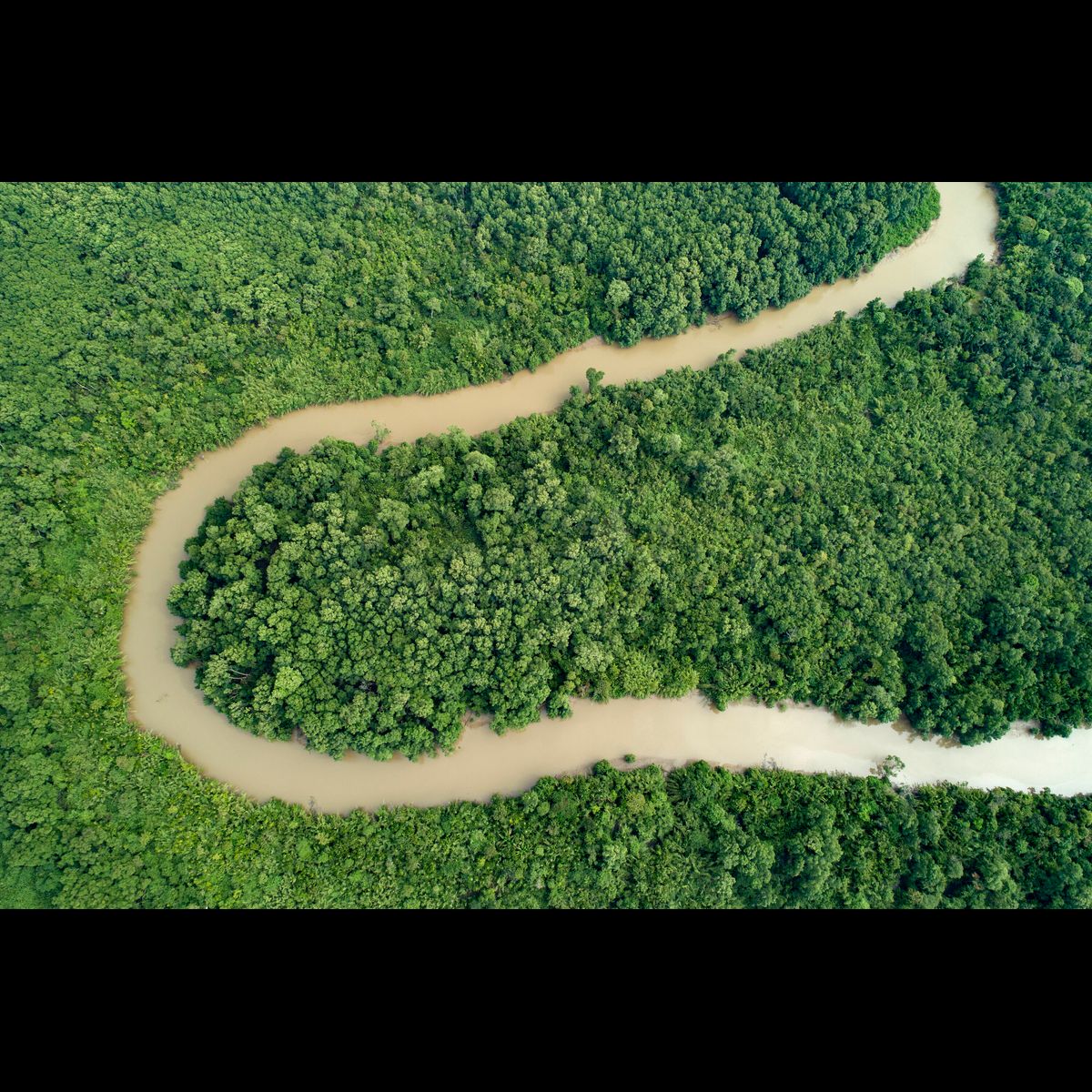 Fish Forever Progress Update #40